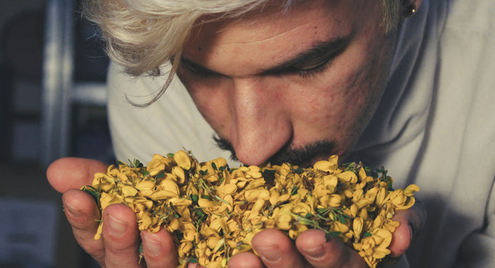 How Long Should Perfume Last? A Guide to Fragrance Longevity – MAIR